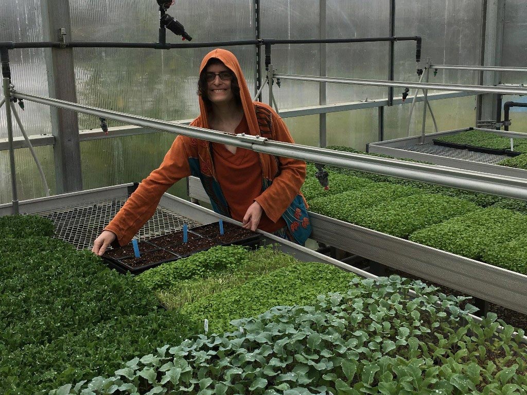 maris-microgreens - Sweetwater Spectrum